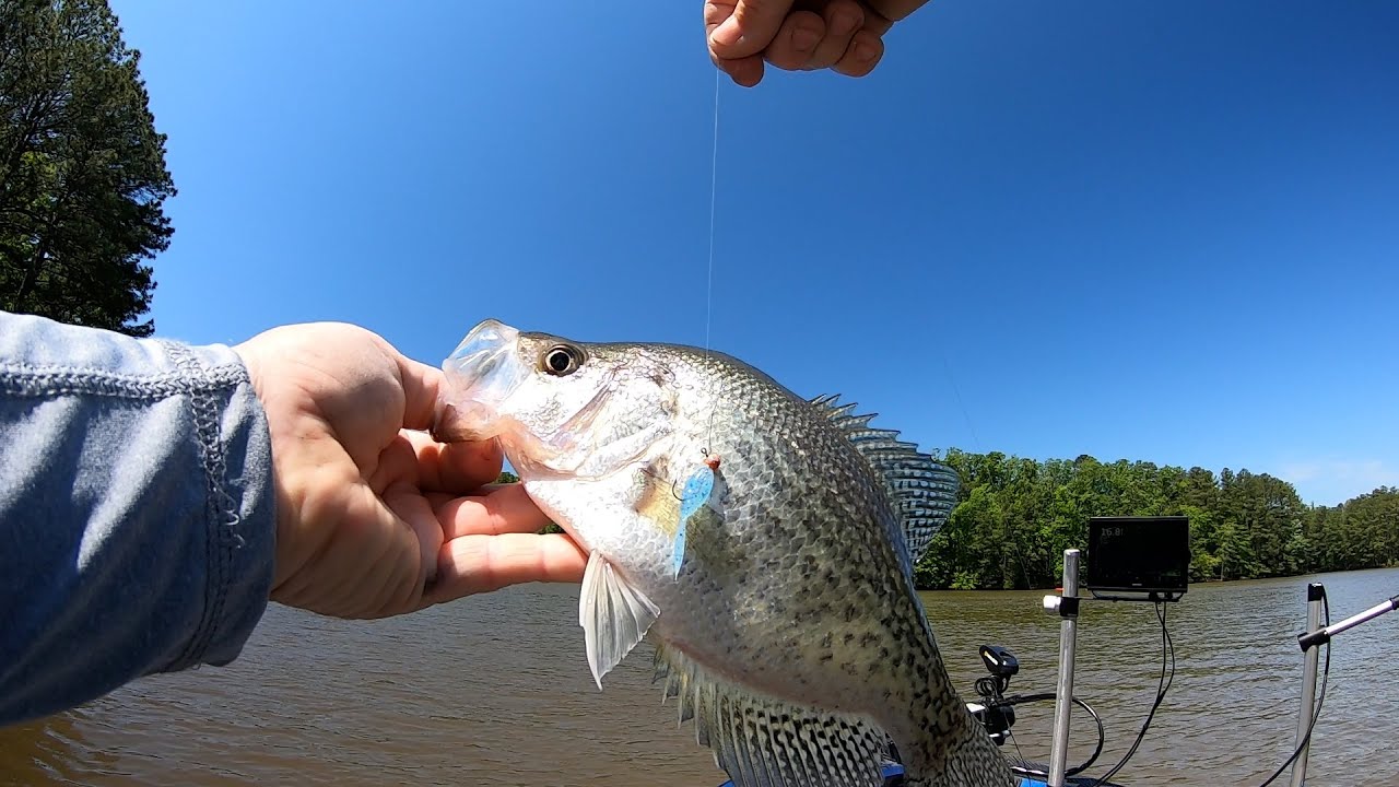 Blue Boy Tadpole Jr. Pour To Catch/Great Small Crappie Bait - YouTube