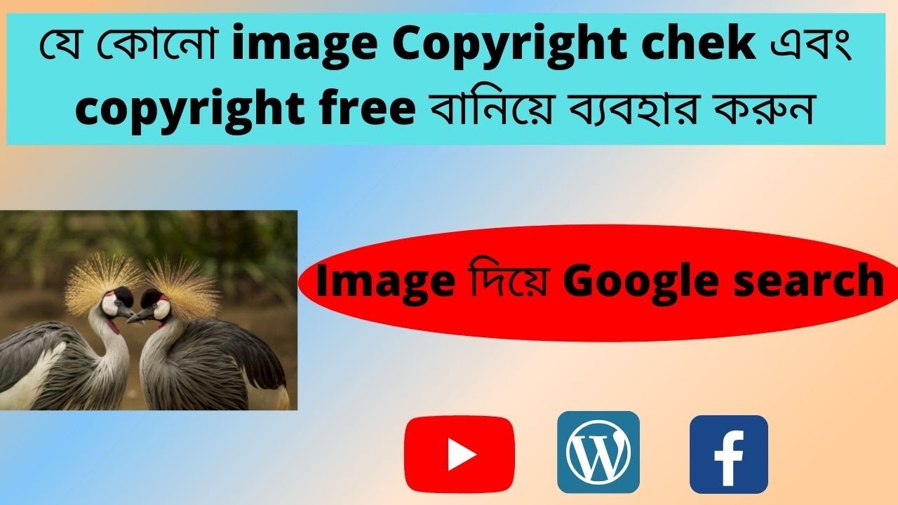 Check any image copyright and use copyright free,Image দিয়ে google ...