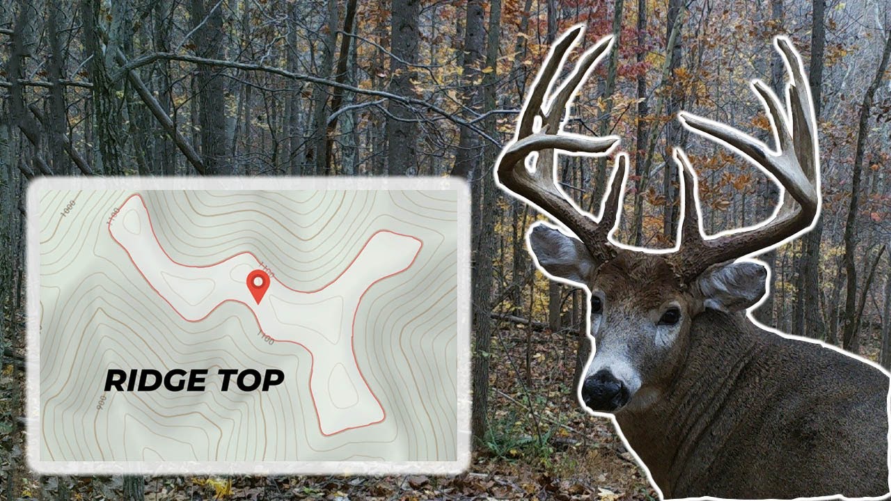 How To Read Topo Maps The First Step To Become A Better Deer Hunter In how-to-read-topo-maps-the-first-step-to-become-a-better-deer-hunter-in