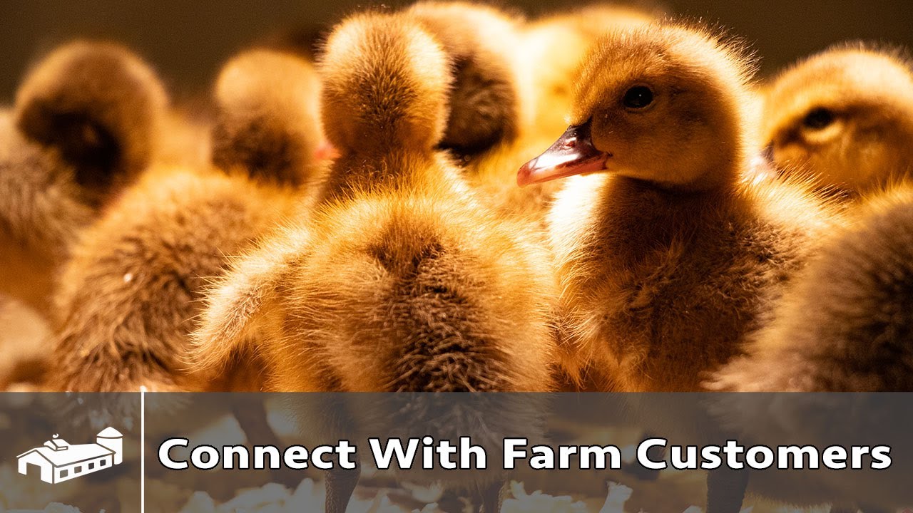 How FARMERS Connect With Customers During Covid-19 - YouTube