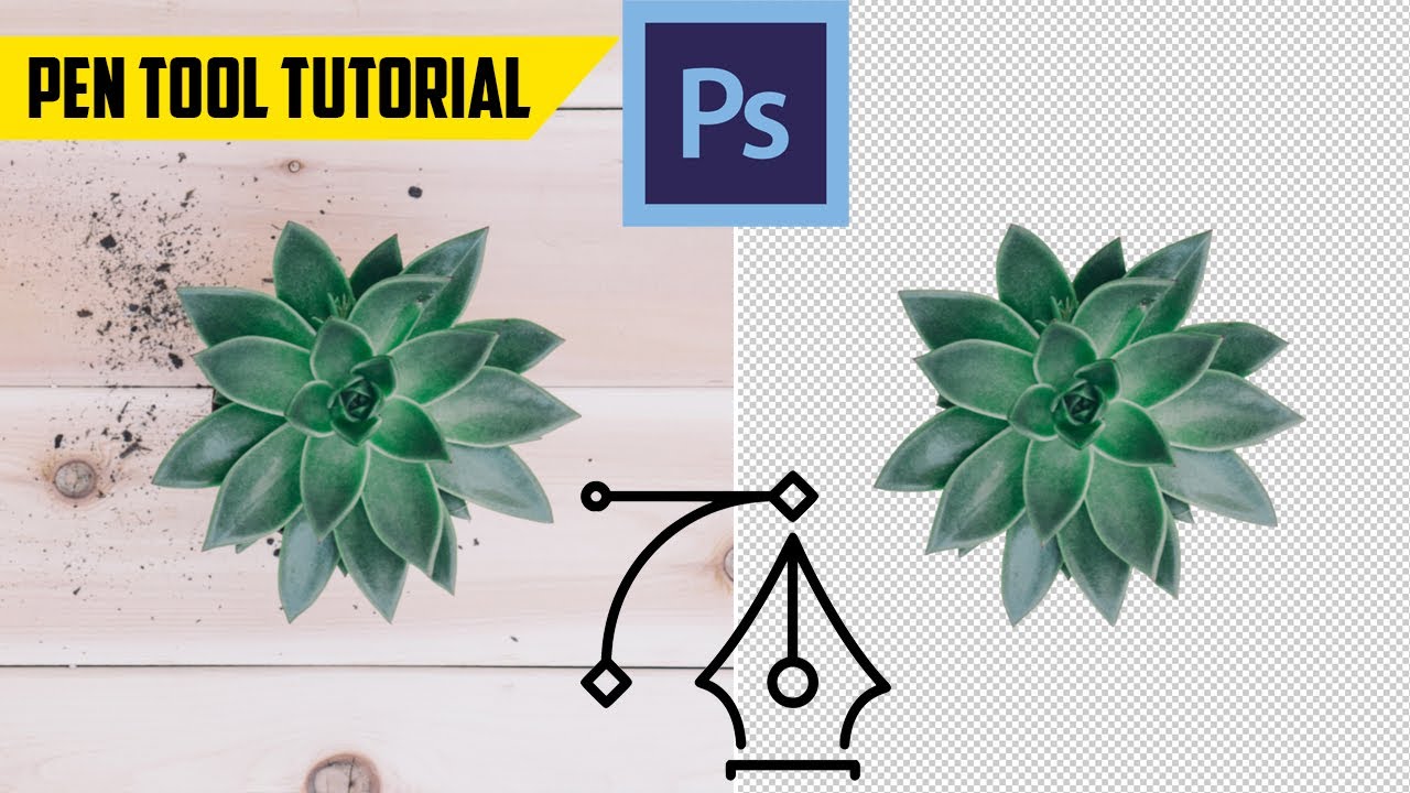 How to use the Pen Tool - Cut out objects or Remove Background in ...