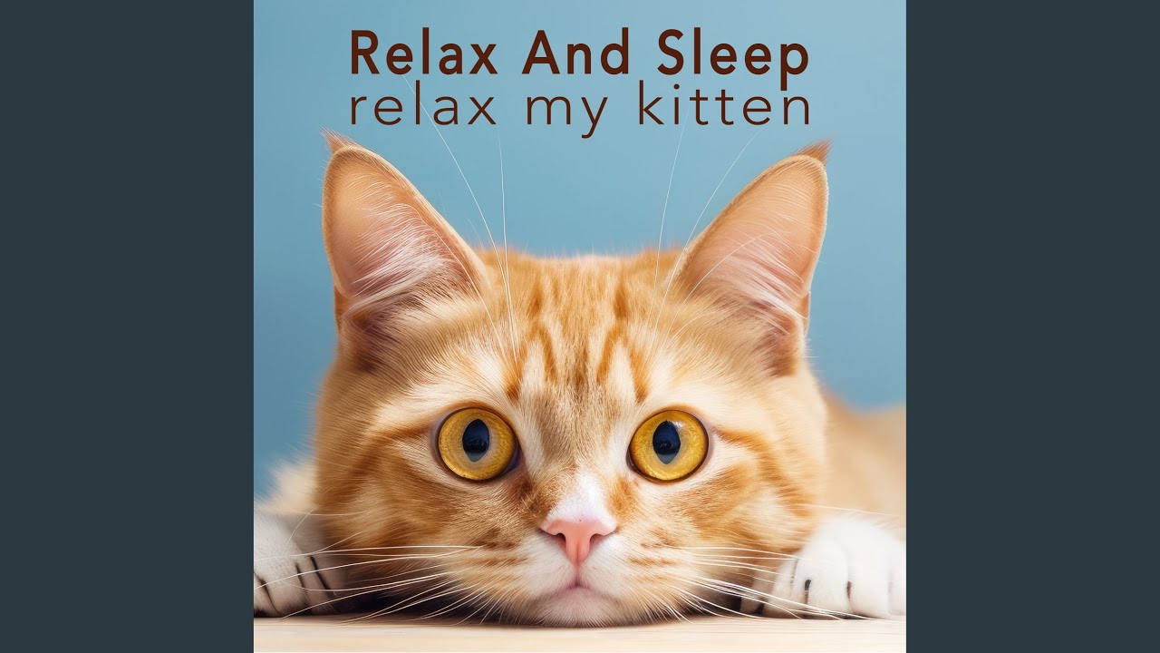 Chilly Cat - YouTube