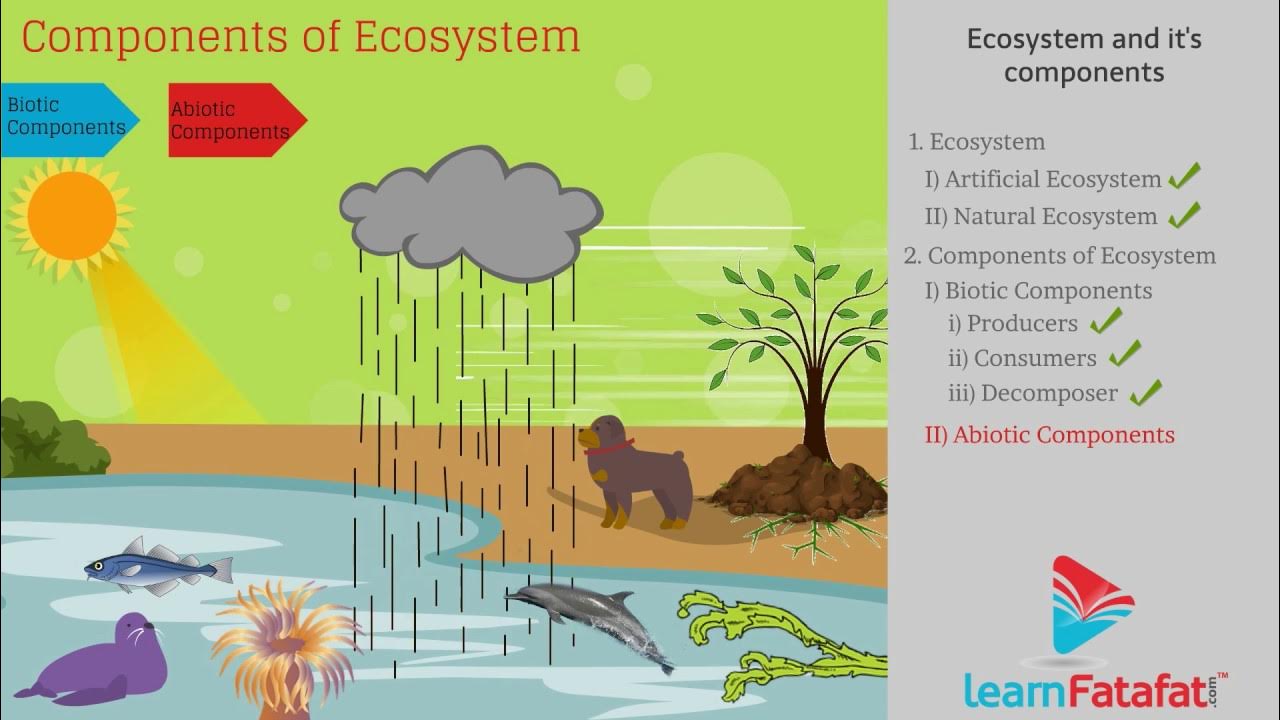 Our Environment Class 10 Science Chapter 15 - Ecosystem and Its ...