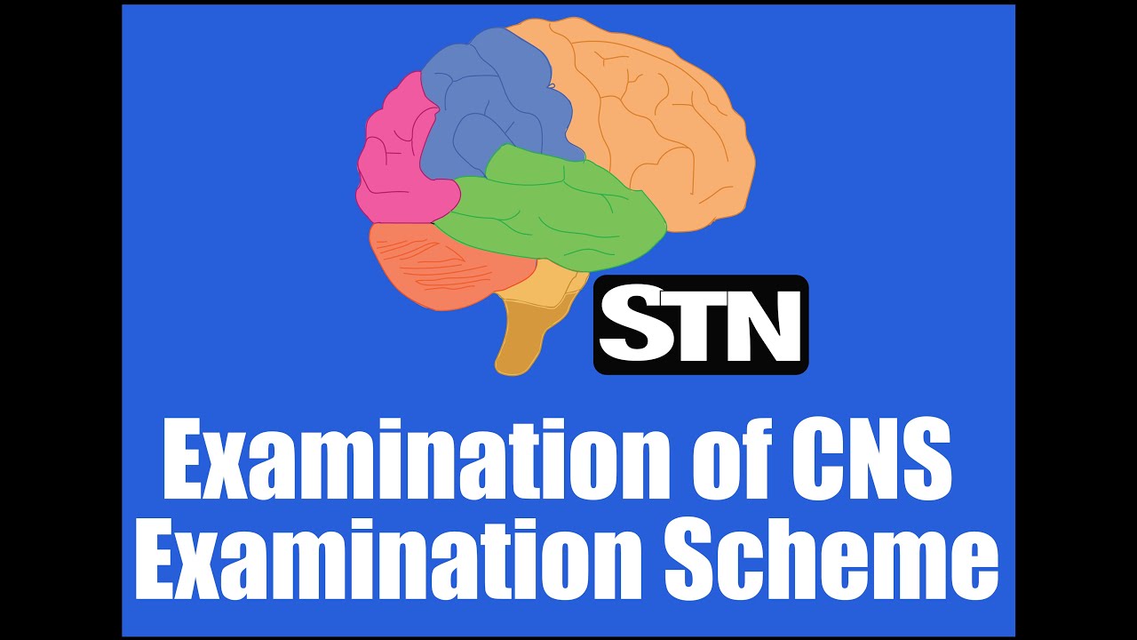 CNS Examination Scheme/Proforma - Intro | UG | PG | Neurology - YouTube