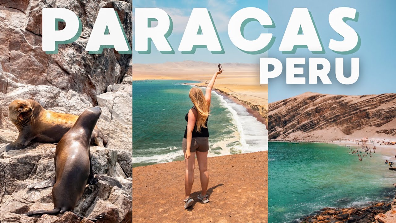 Exploring the beautiful Paracas; national reserve, sea lions & penguins ...