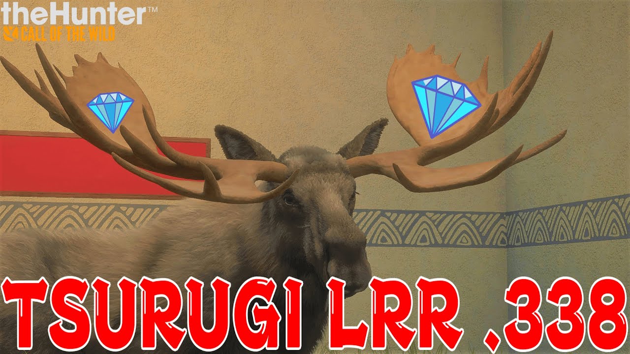 まさにPowerな大型動物向けボルトアクションライフル『TSURUGI LRR .338』 【theHunter: Call of the Wild】 - YouTube