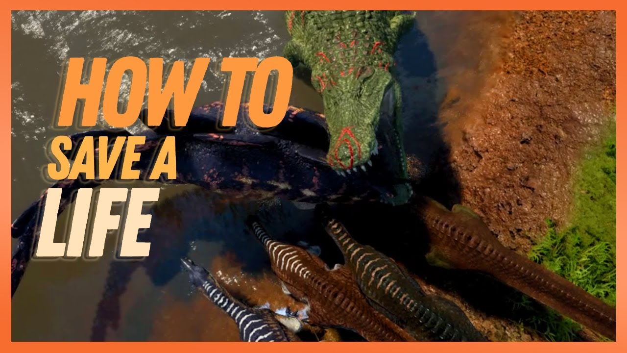 How to Save a Life - Evrima - YouTube