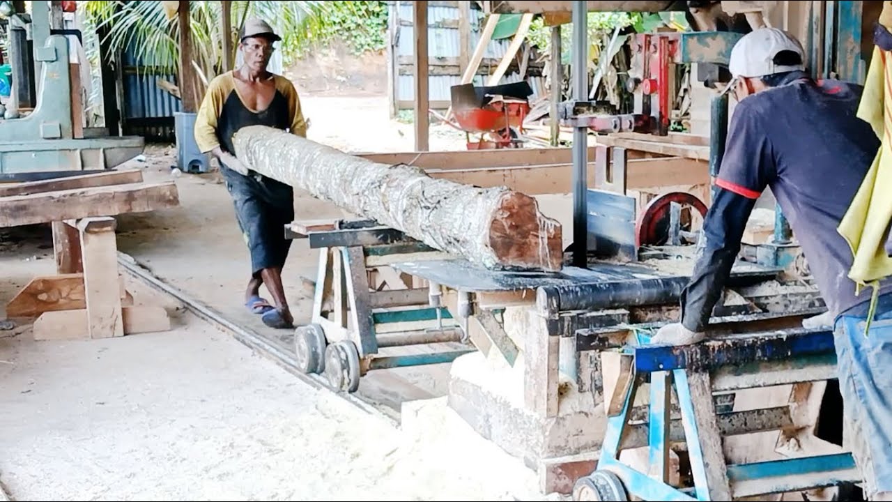The Skill Of Sawing And Sawmill Wood - Under The Tre Sawing (Bandsaw ...