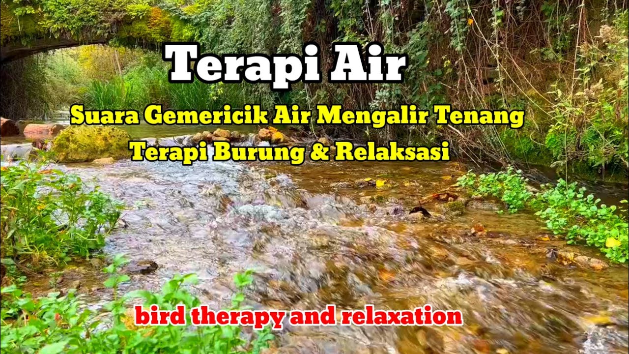 Terapi Air || Relaksasi Gemericik Air Mengalir Tenang || Suara Air ...