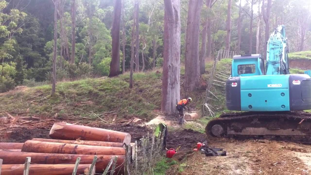 Logging NZ - YouTube