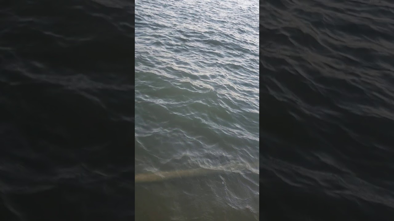 NEKO FISHING AT Spring Valley Lake fishing at fishing area number 7 ...