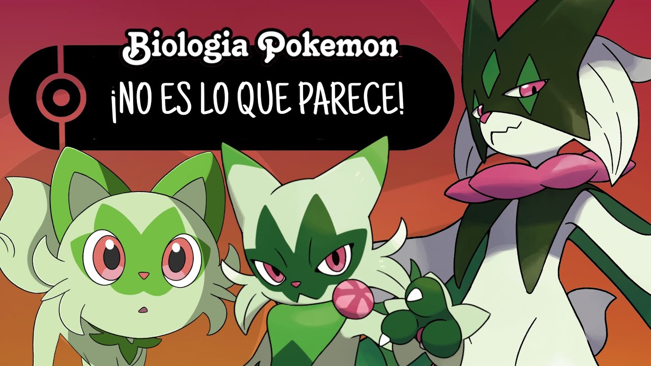 Sprigatito, Floragato y Meowscarada | BIOLOGÍA POKEMON - YouTube