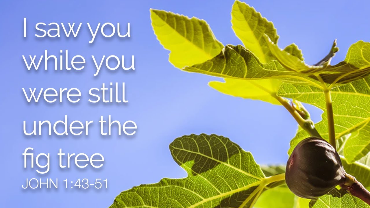 I saw you while you were still under the fig tree (John 1:43-51) - YouTube