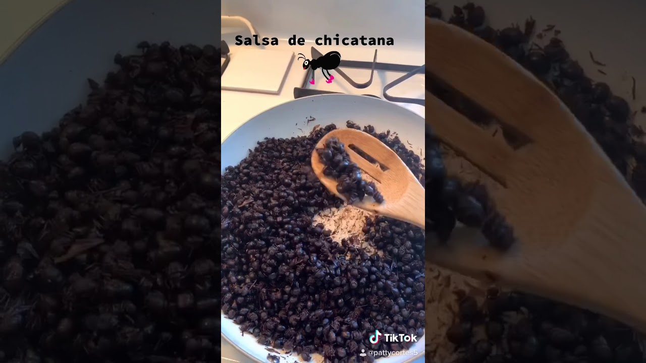 Salsa de chicatana 🐜🐜🐜 - YouTube
