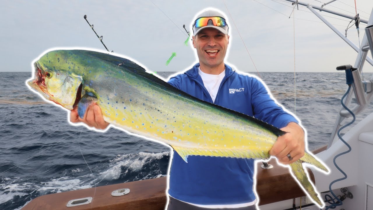 Deep Sea Fishing for BIG FISH!! (Sharks, Tuna, and Mahi All Day ...