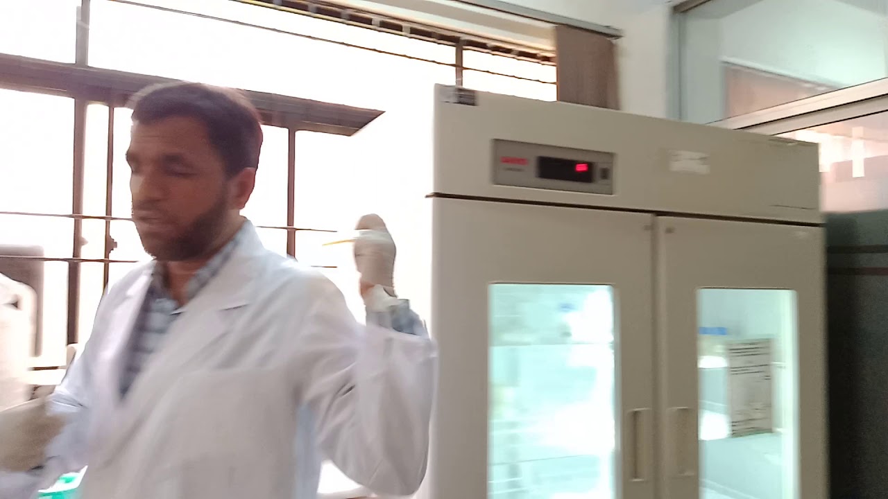 Isolation of Bacteria from Soil; Part 3 - YouTube