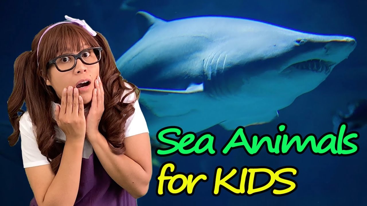 Sea Animals | Educational Video for Kids - YouTube