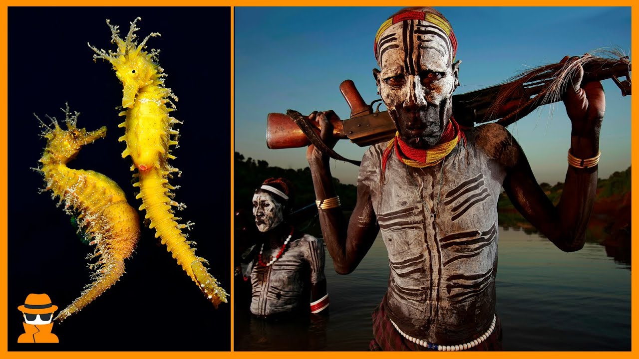 30 Cosas Que No Sabias Hace 5 Minutos (31) - YouTube