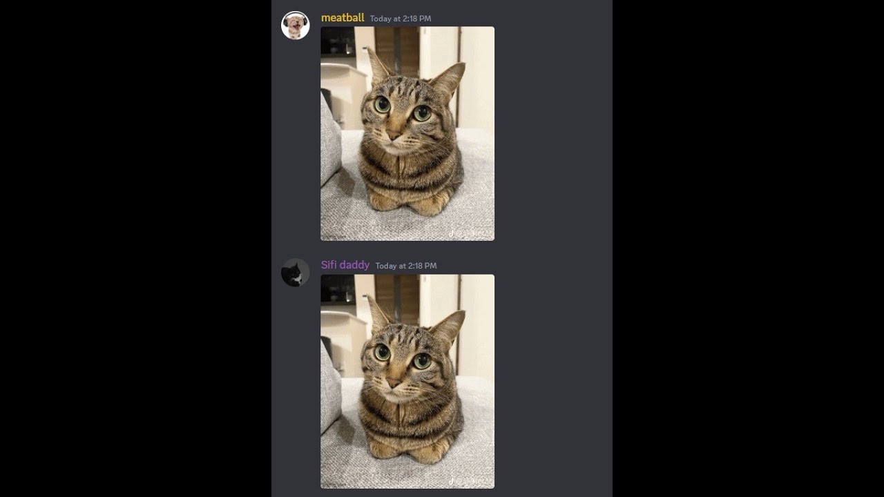 Nerd vs Geek. | @meatbn7769 vs @minxbin | Discord group chat shitpost ...
