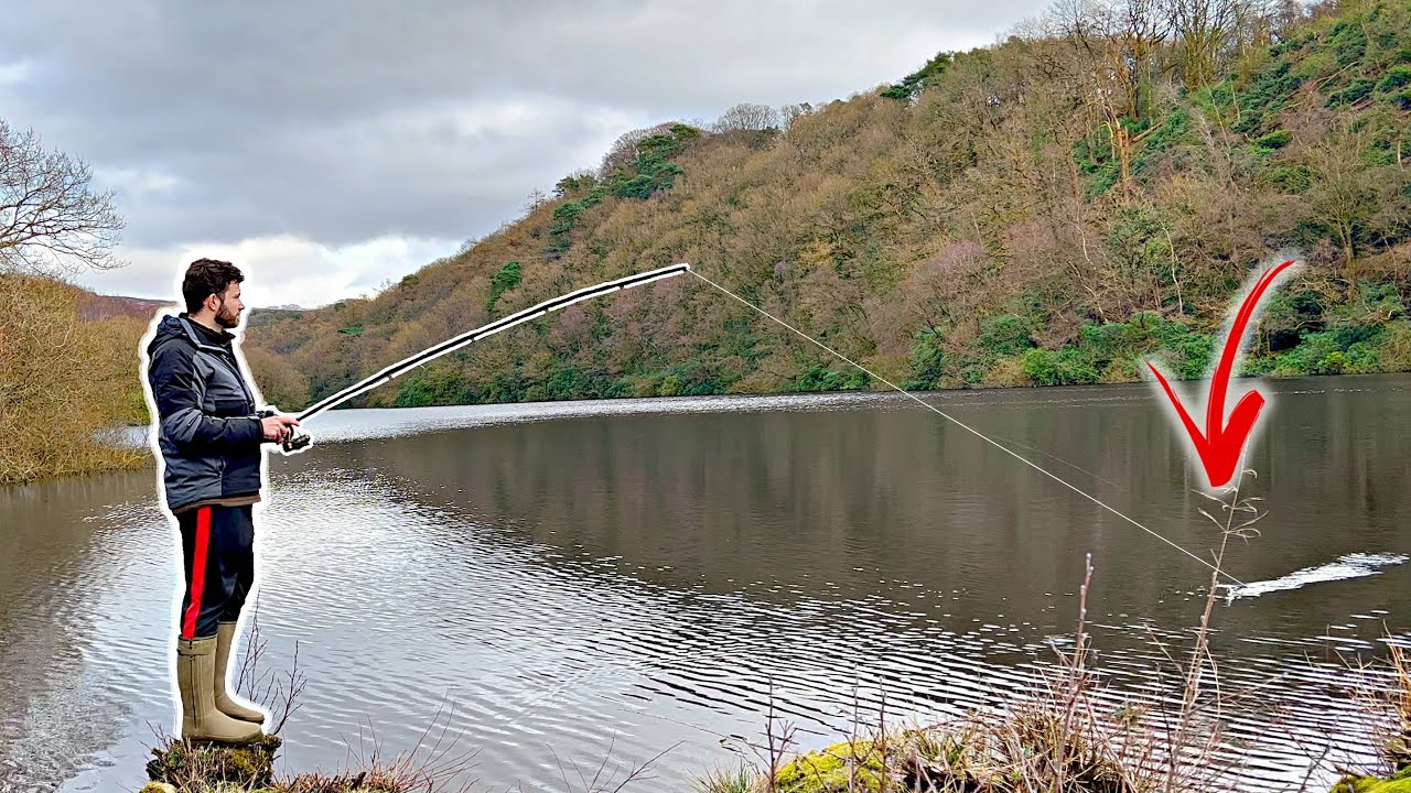 This HIDDEN Forest Lake is a Fishing PARADISE! 🌳 - YouTube