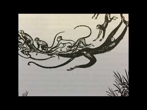 A Buddhist Jataka Tale - The Monkey Bridge - YouTube
