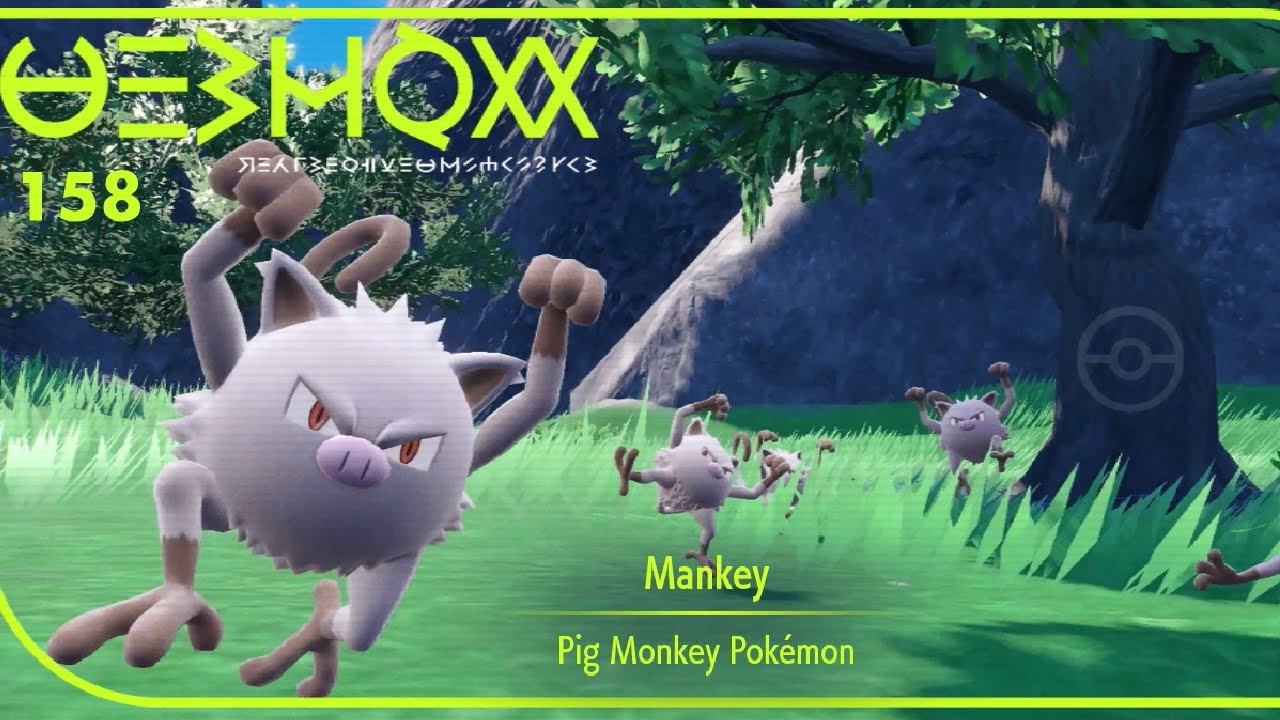Fighting Pokemon Mankey
