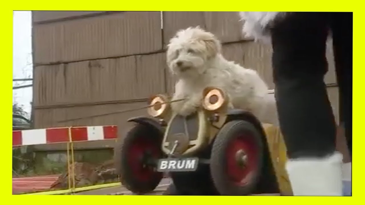 Brum 302 | NAUGHTY DOG | Kids Show Full Episode - YouTube