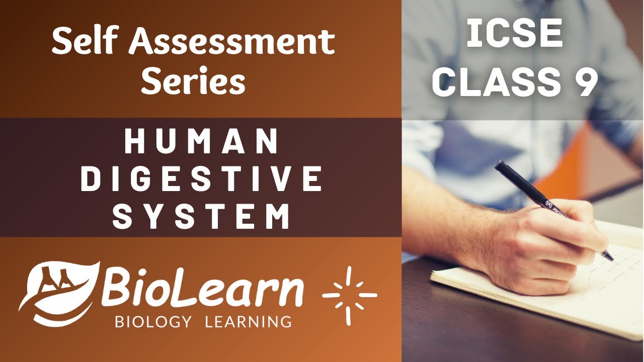 Self Assessment Series | HUMAN DIGESTIVE SYSTEM | ICSE Class 9 Biology ...