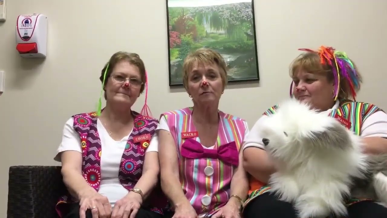 What is a Laughter Boss? Meet Our Laughter Care Performers | The Humour ...