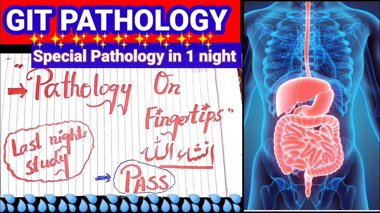 GIT PATHOLOGY. ️ ️ #gastrointestinal pathology lectures. pathology on ...