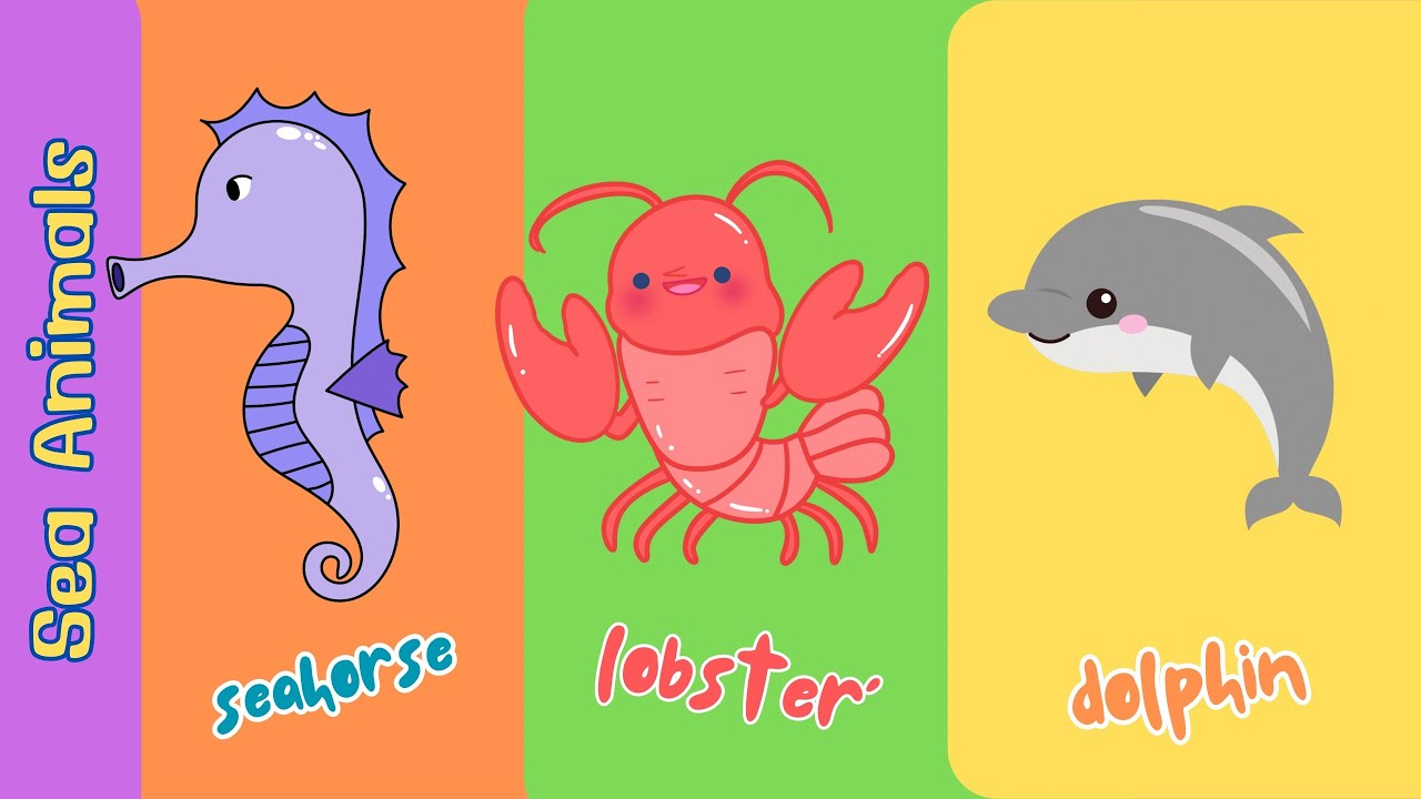 Learn Sea Animals & Water Animals for Kids Video Flash Cards ...
