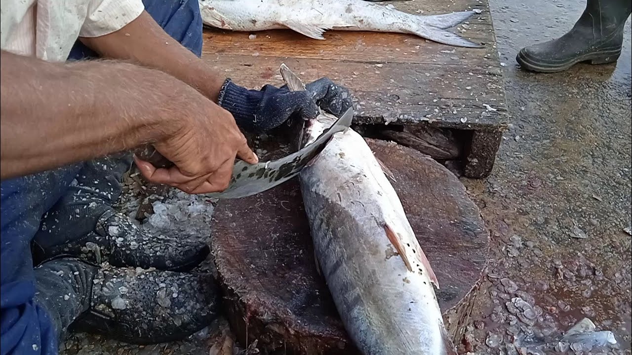 |rinji fish cutting|fish video karachi fish market - YouTube