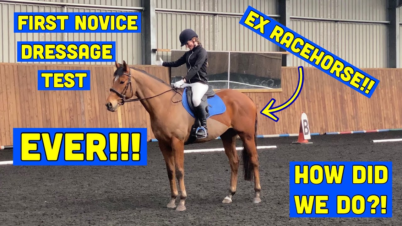 First Ever Novice Dressage Test on Harry the Ex-Racehorse - YouTube