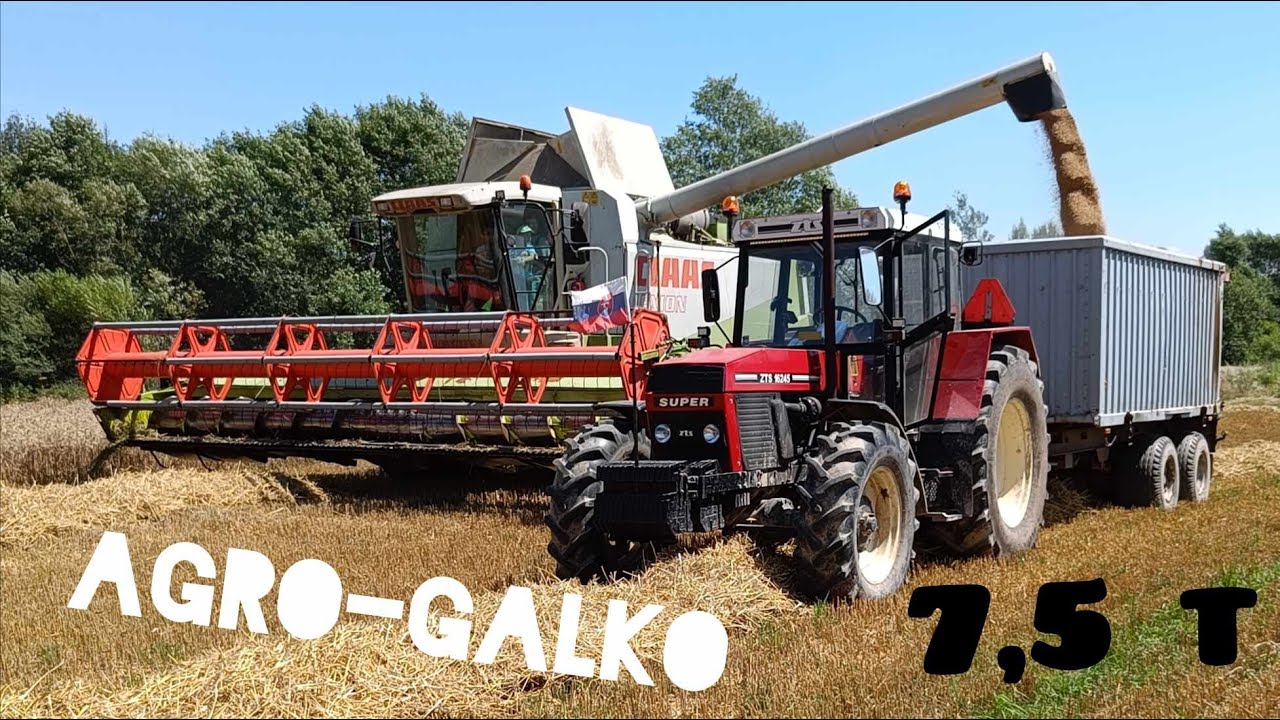 LEXION na scéne. Veľká žatva 7,5 tony pšenica :O *Agro-Galko* ZetVlog ...