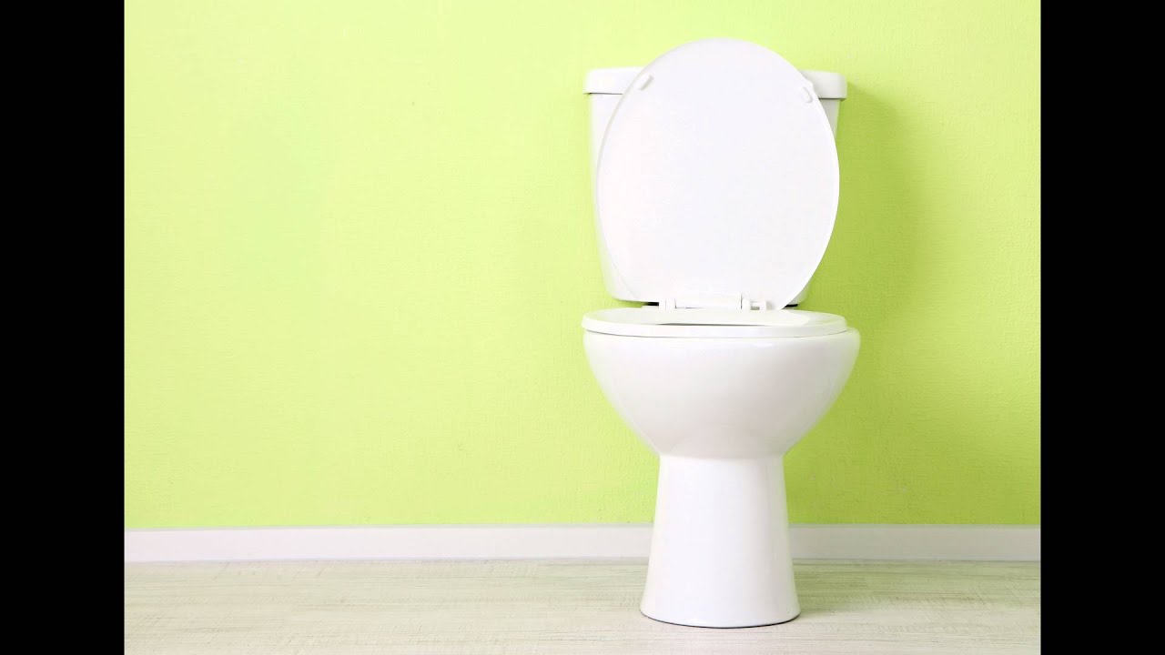 Flushing Toilet - HQ Sound Effect - YouTube