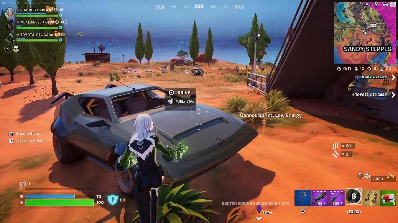 Fortnite Victory Royale With Black Cat!! - YouTube