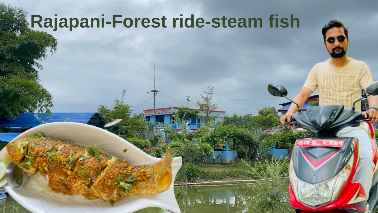 STEAM FISH // RAJAPANI // DAJU-BHAAI // RIDE // THREE STAR HOTEL ...