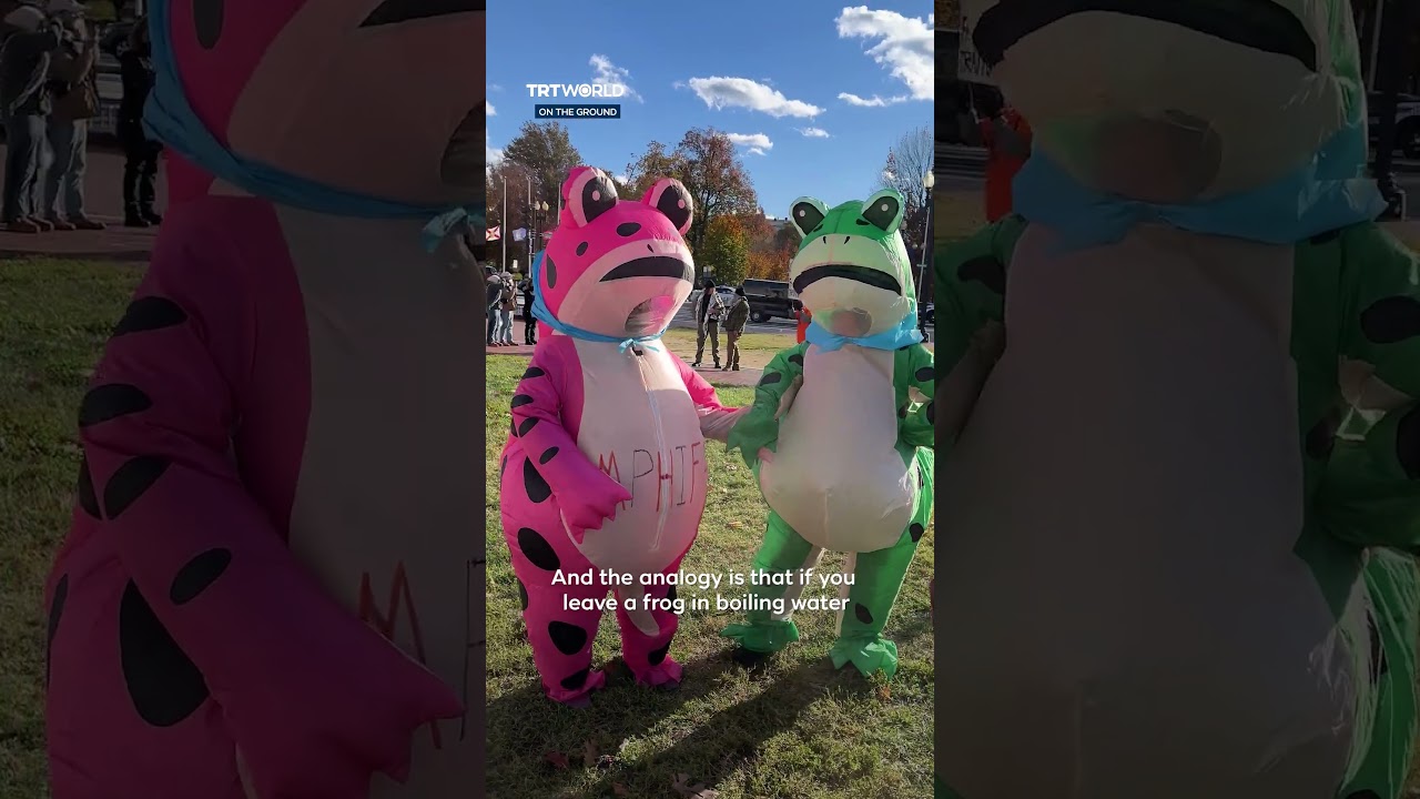 Video | How the frog costume became a symbol of opposition to Trump ...