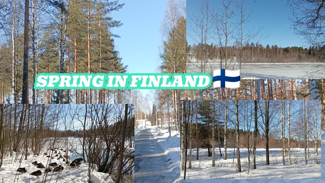 Spring Season In Finland:Amazing and Cold #finland #spring #travel ...