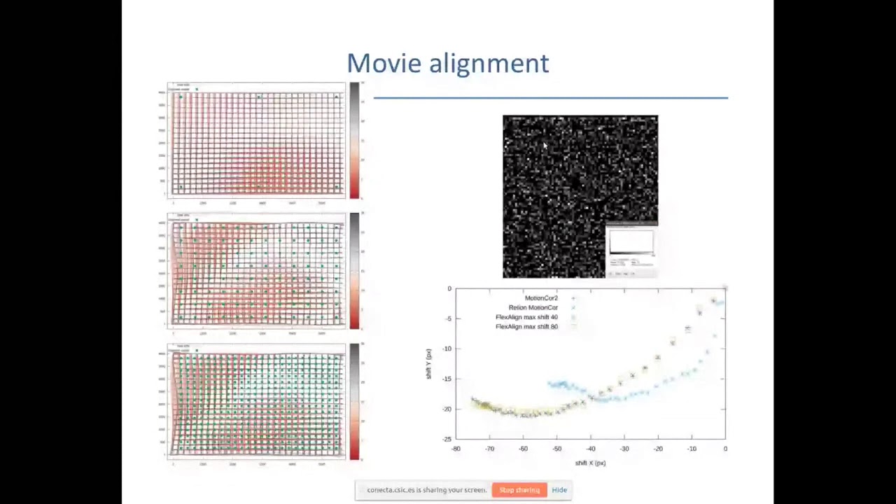 I2PC webinars: From movies to particles - YouTube
