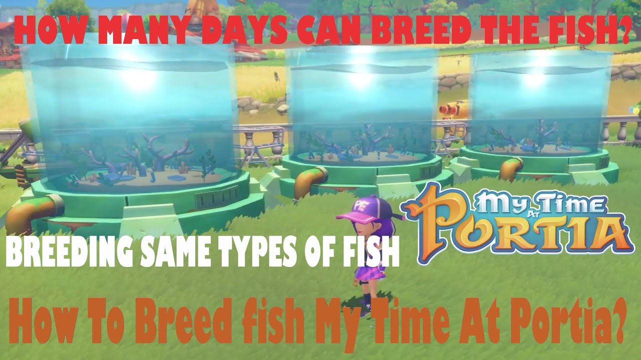 How To Breed Fish? & How many days can breed fish In My Time At Portia ...