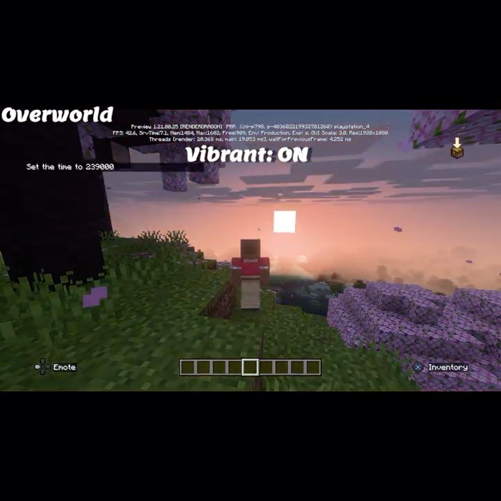Minecraft vibrant visuals in all three dimensions | #minecraft #vibrant ...