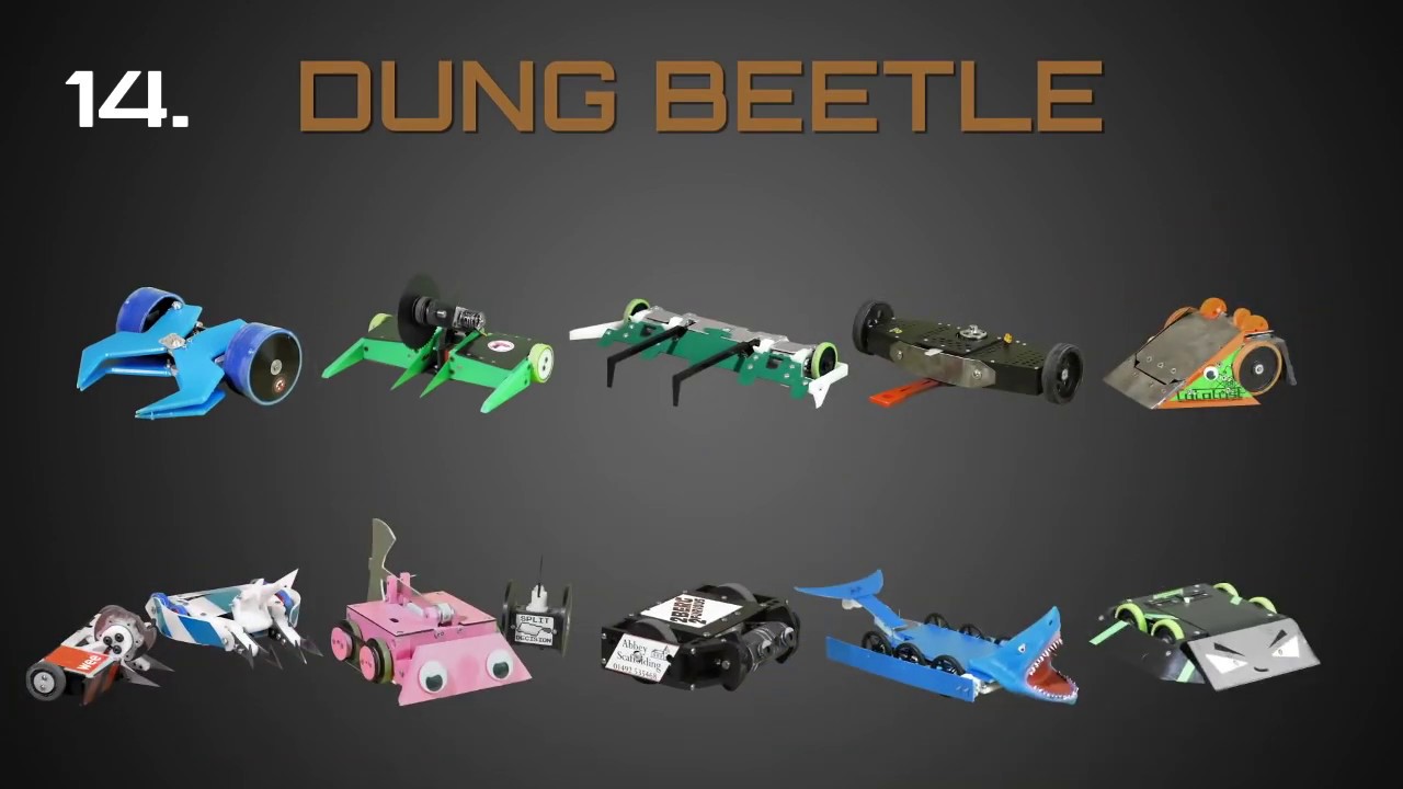 Bugglebots Season 2 - Top 15 Best Fights - YouTube