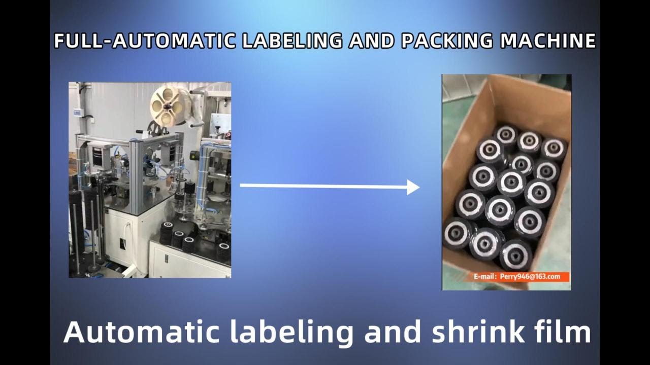 Produce flap disc line，The fourth step，Full-automatic flap disc ...