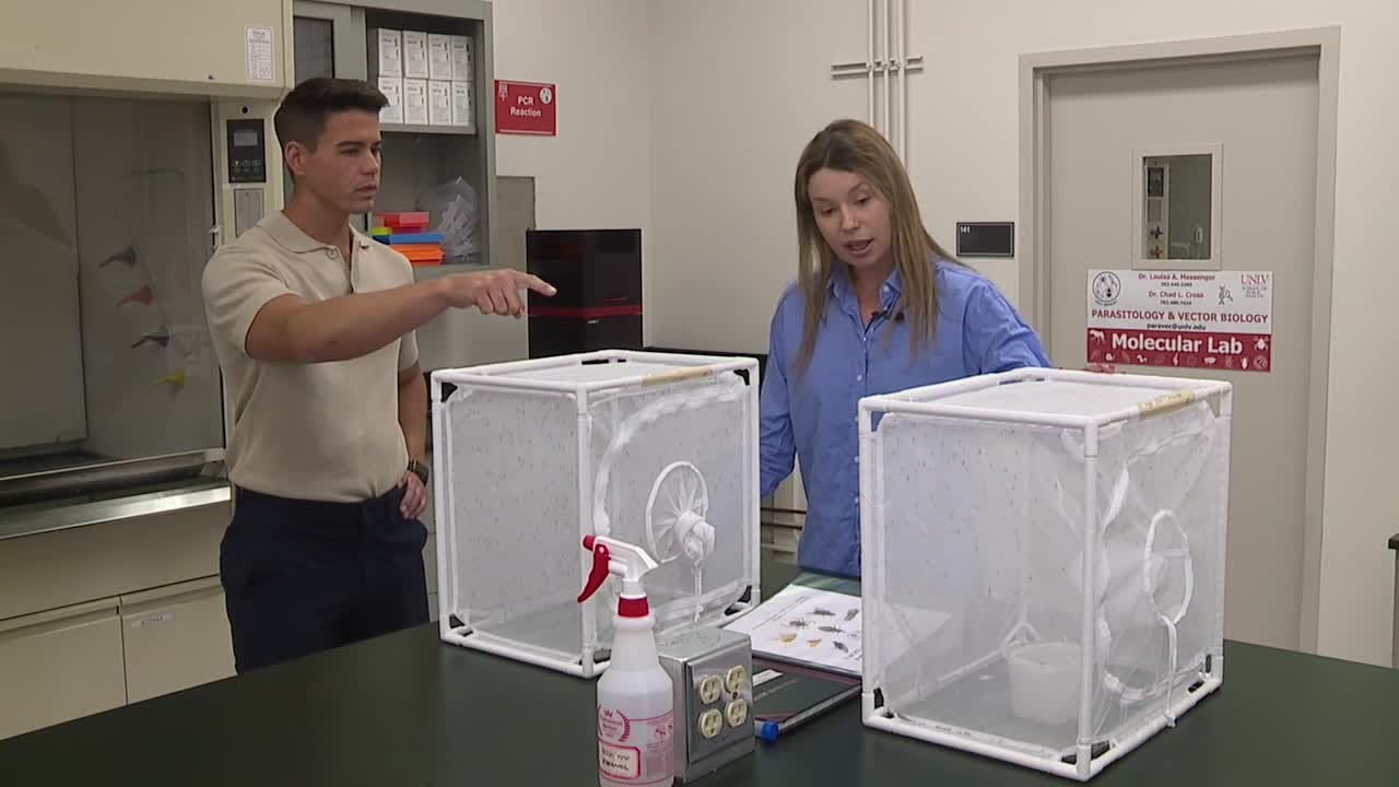 [Extended interview] Mosquito expert explains why they're bugging us so much this year - YouTube