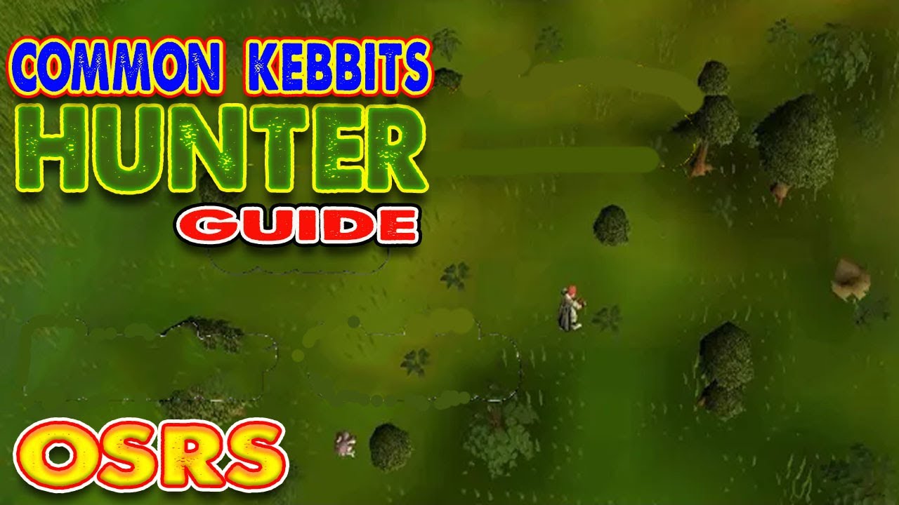Common kebbits OSRS hunter guide - old school runescape - YouTube
