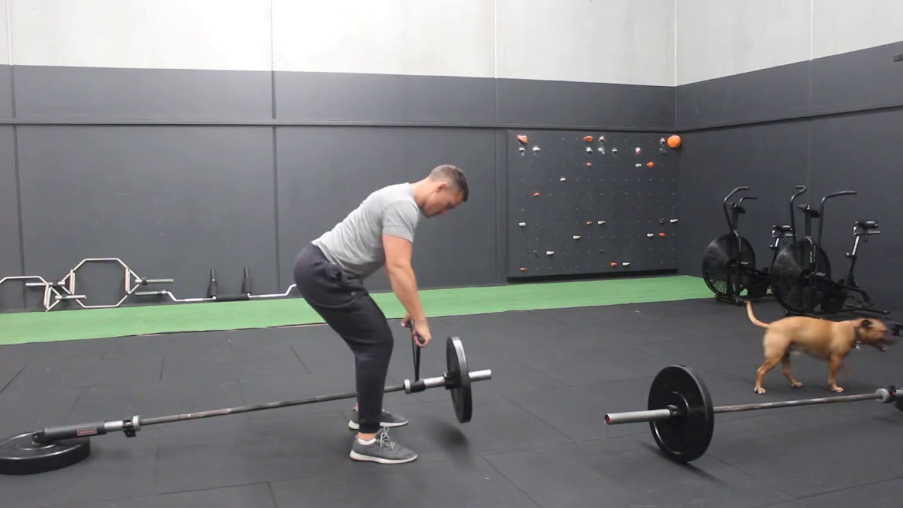 Landmine Row Variations - YouTube