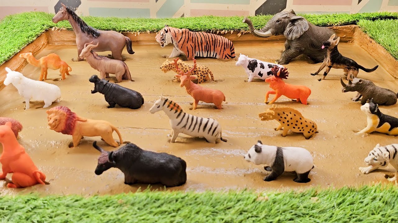 Detecting the Hidden Realms of African Savannah Animals and Wildlife ...