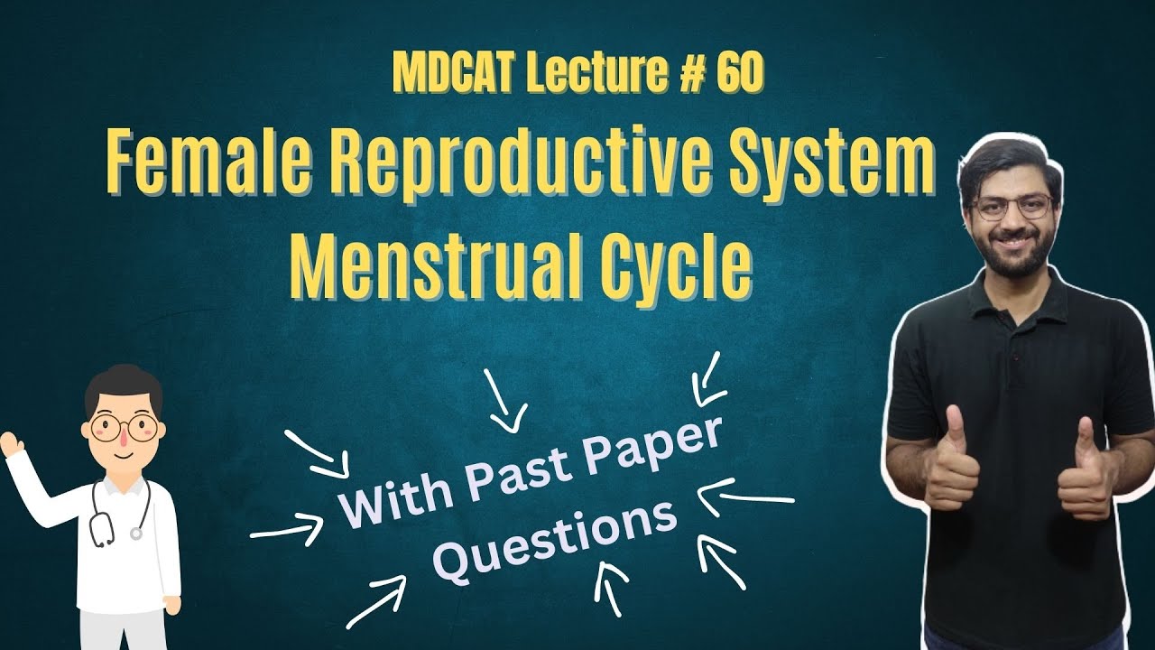 60 - Female Reproductive System and Menstruation Cycle | MDCAT Series ...