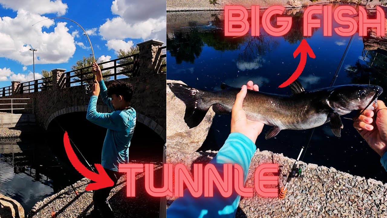 Catching Monster Catfish under Road-Side Tunnel (Shocking) - YouTube